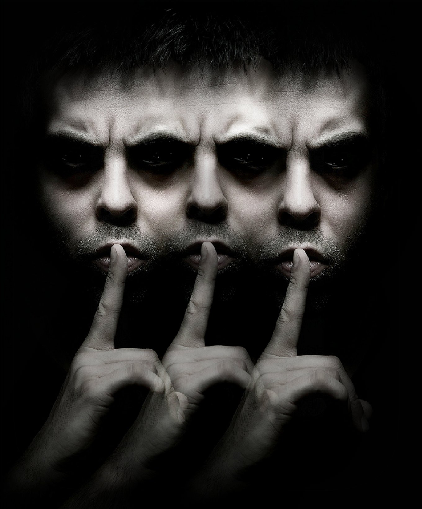 SHADOWS OF LOSS – TM DiSarro